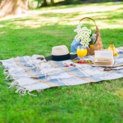 Top Picnic Spots near Vapi,Vapi - Best Picnic Places - Justdial