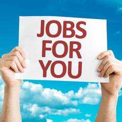 Jobtrack Manpower Services in Vashi, Navi Mumbai - Best Placement ...