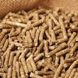 Layer Requirements in Paswan Chowk, Hajipur - Best Poultry Feed ...
