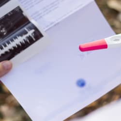 Dr. Jcr Bio - from Moula Ali, Hyderabad, India | Company Profile