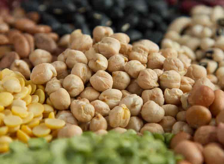 Shrungagiri Stores, Sringeri - Egg Retailers in Chikmagalur - Justdial