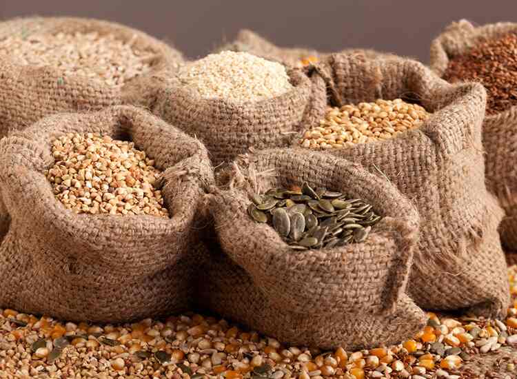 Mrittunjay General Store And Mishra Tea, Near Veterinary Hospital ...