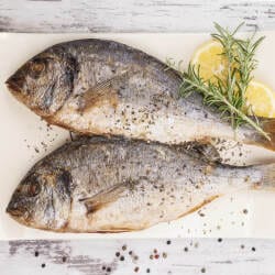 Setu Madhav Sea Shell Export in Beach Road, Thoothukudi - Best Seafood ...