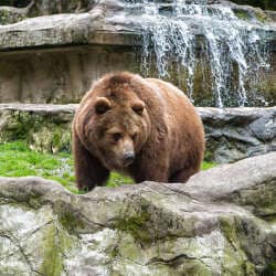 Top Zoo in Gandhi Nagar - Best Animal Park Agra near me - Justdial