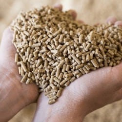 Farm route nutrition in Alipurduar - Best Animal Feed Wholesalers in ...