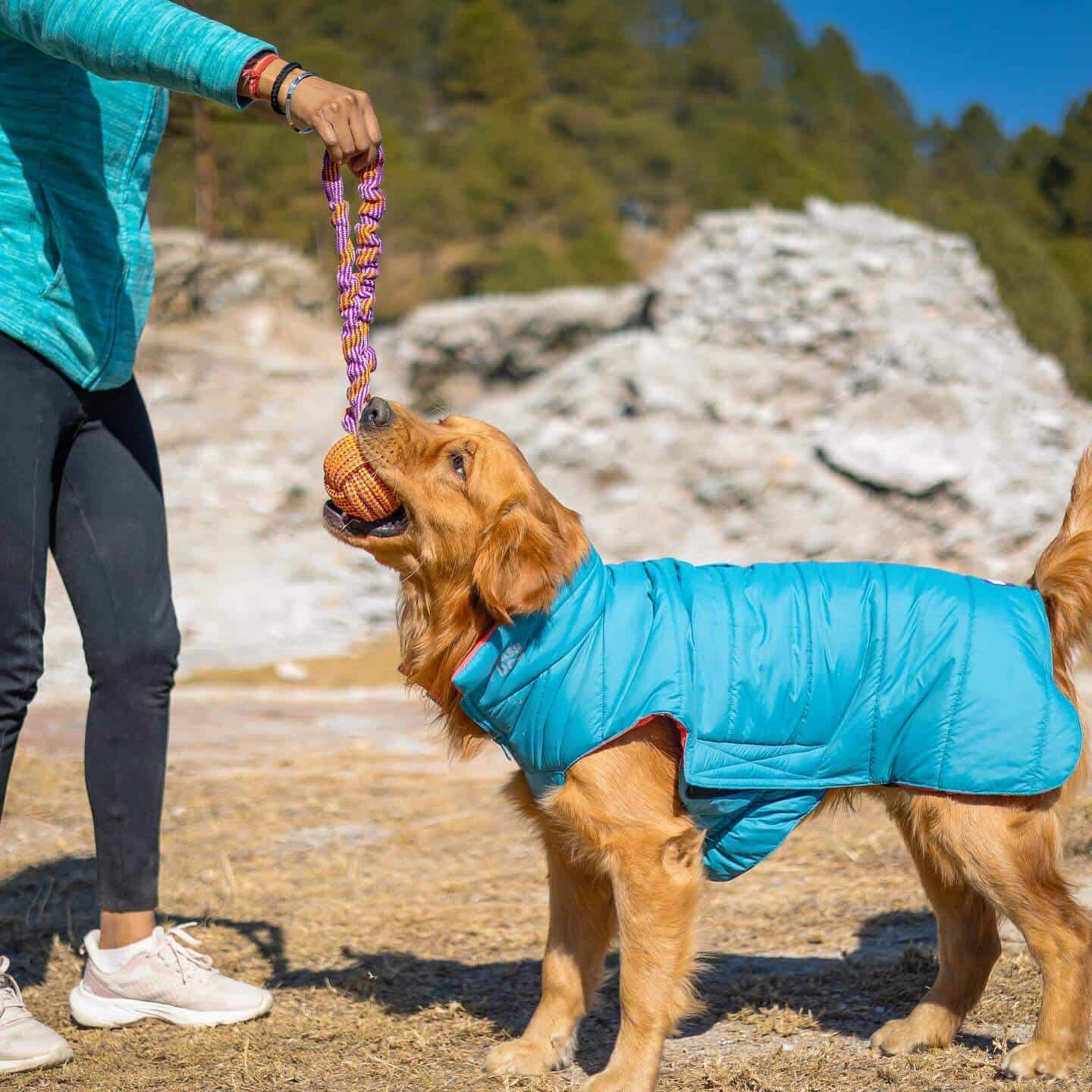 Heads Up For Tails in Vittal Mallya Road,Bangalore - Best Heads UP For ...