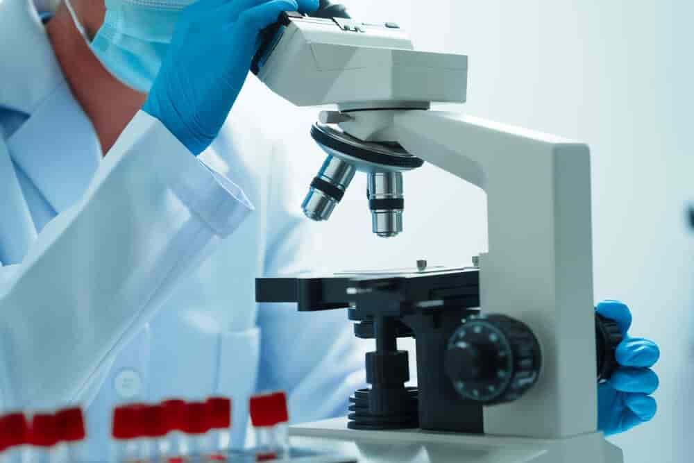 Sunita Scientific Ind in Bahadurgarh City,Bahadurgarh-haryana - Best ...