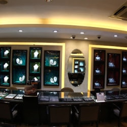 Tanishq Rajouri Garden Contact Number 2024 www.epicamlv