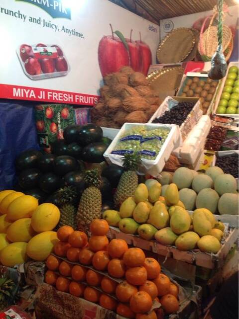 Jerusalem Dried Large Thoory Dates (Red) in Delhi at best price by Miya ...