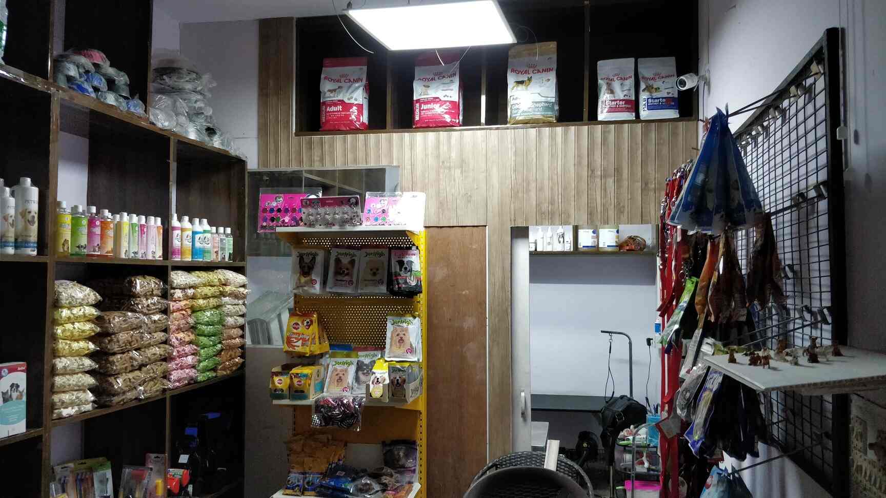 Happy Dogs in Mahipalpur,Delhi - Best Dog Parlours in Delhi - Justdial