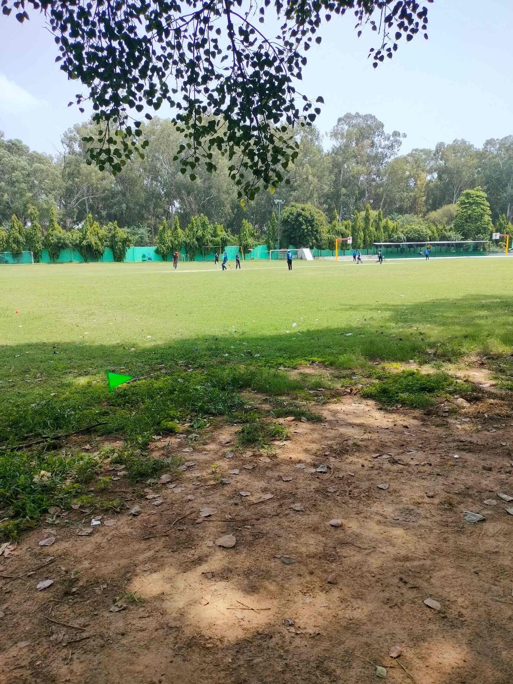 Cricket Acdemy By Rohit Sharma In Pitampura Delhi Best Cricket cricket-acdemy-by-rohit-sharma-in-pitampura-delhi-best-cricket