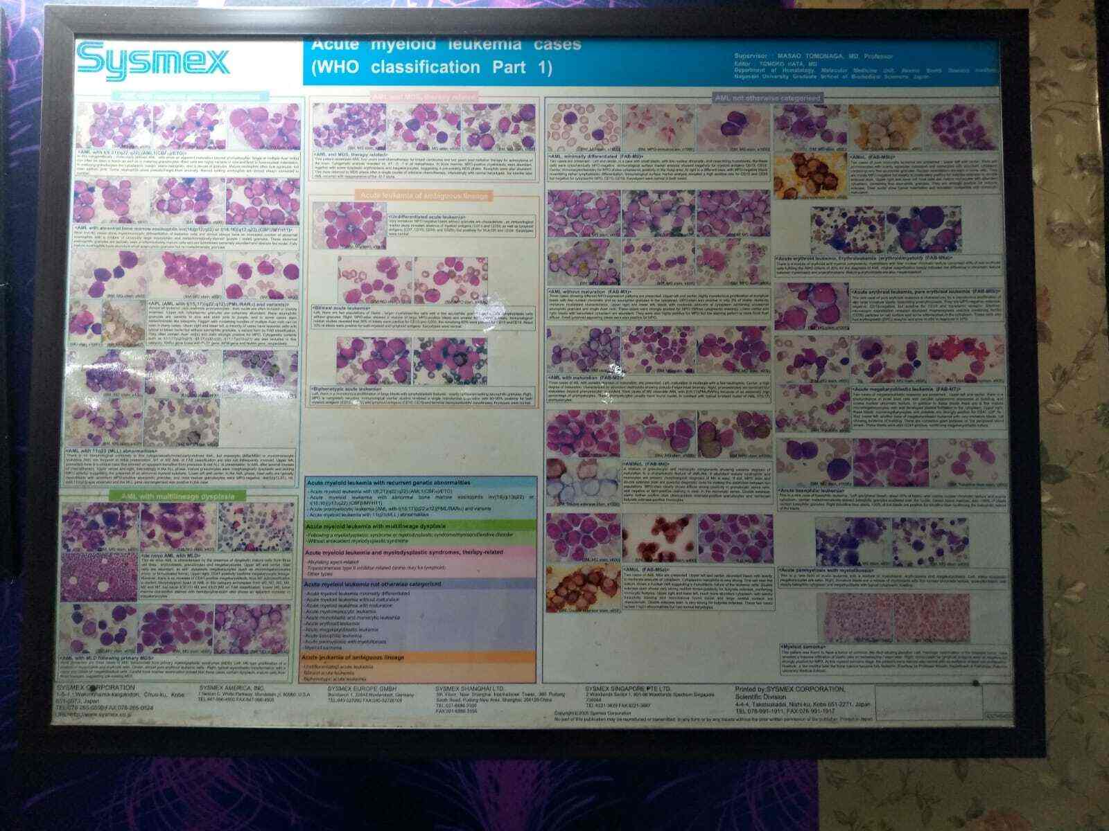 Star Health Diagnostic & Imaging Center in Near Delhi,Delhi - Best ...