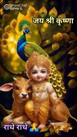 Top Angadia Services in South Patel Nagar, Delhi - अंगाडीअ सर्विसेज ...