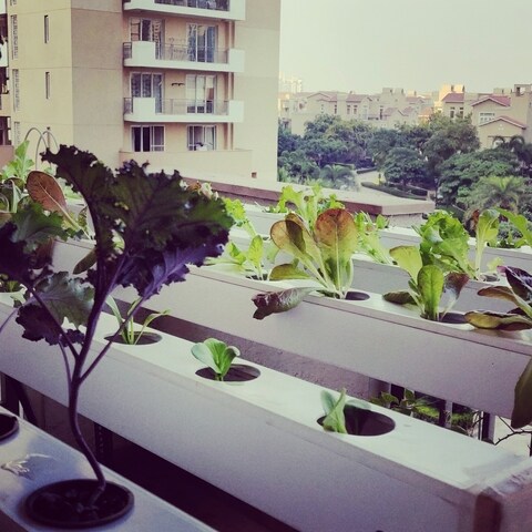 Catalogue - Farmstacks in Vasant Kunj , Delhi - Justdial