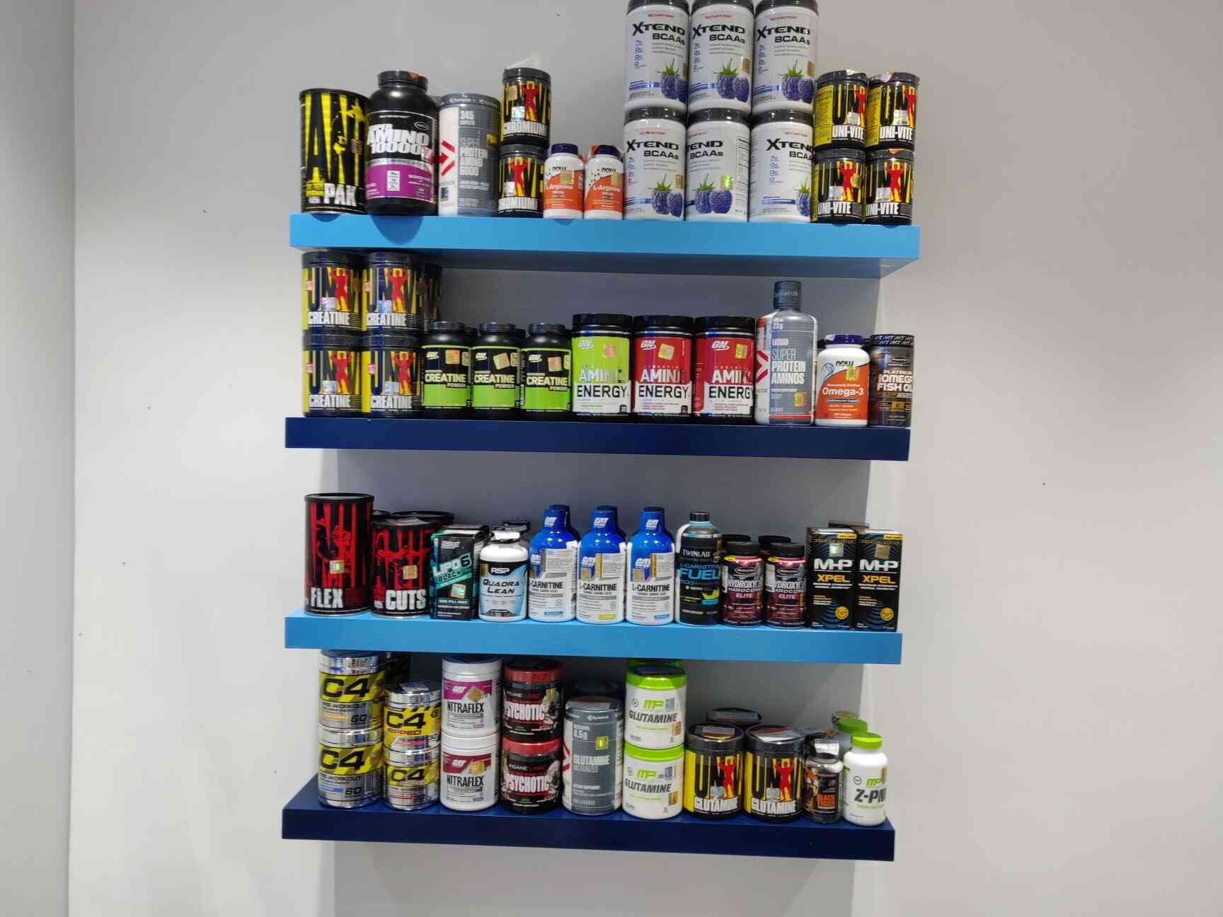 Body Building INDIA in Prashant Vihar,Delhi - Best Protein Supplement ...