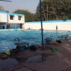 Top Swimming Classes For Children in Moti Bagh - Best Swimming Classes ...