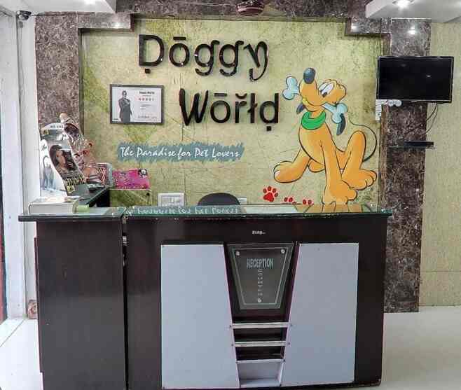Doggy World, Rohini Sector 8 - Pet Shops in Delhi - Justdial