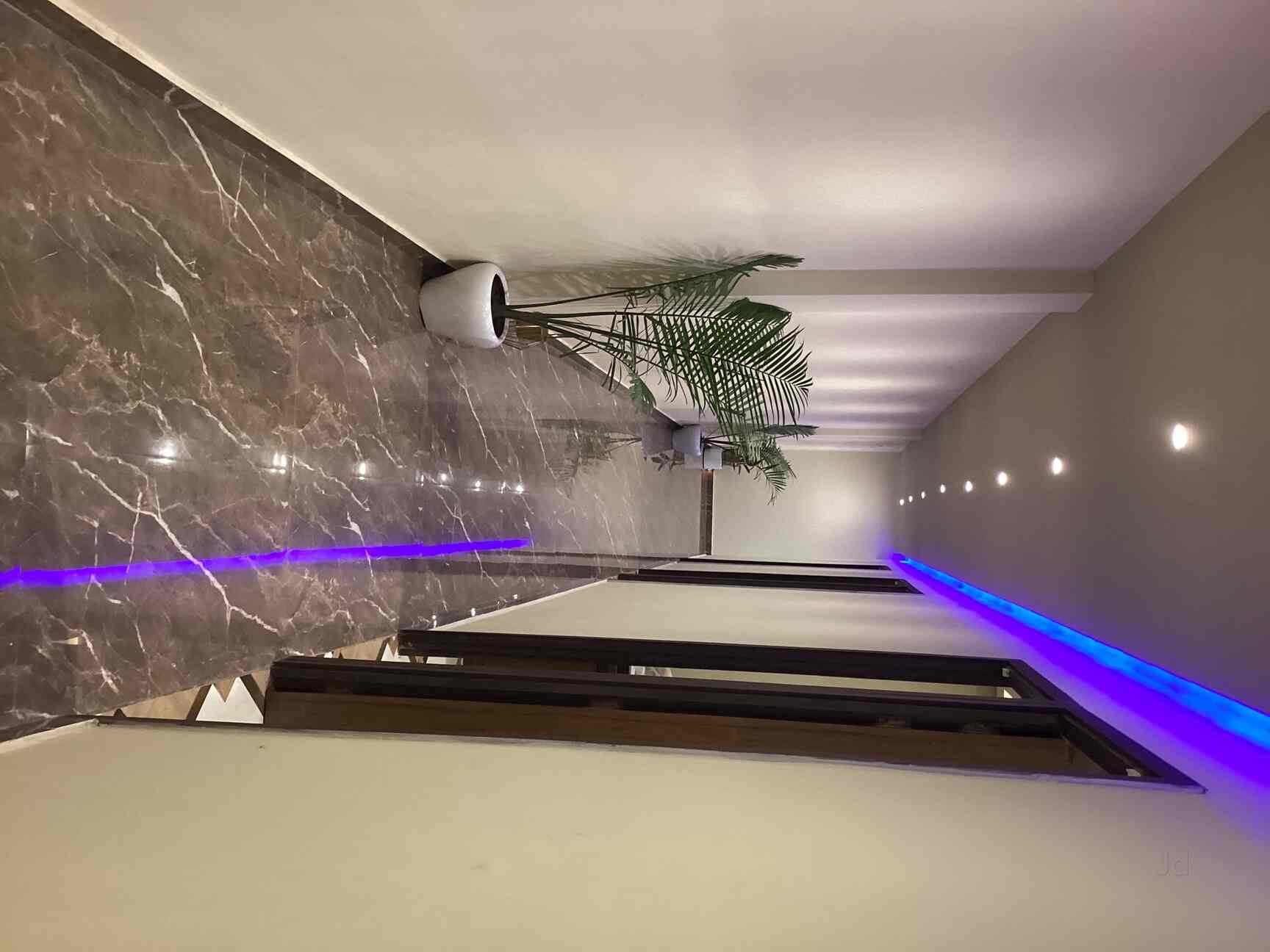 Ardee Lighting Click Strip | Shelly Lighting