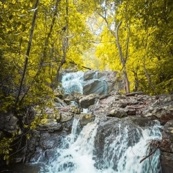 Tourist Attraction in Dhenkanal - Most Visited Tourist Places - Justdial