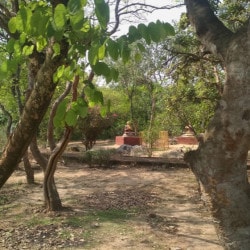 Tourist Attraction in Dhenkanal - Most Visited Tourist Places - Justdial