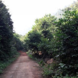 Tourist Attraction in Dhenkanal - Most Visited Tourist Places - Justdial