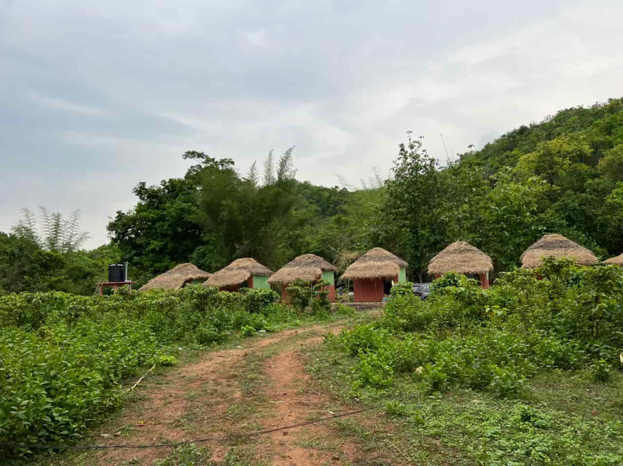 Book Manyam Resorts in Maredumilli,East Godavari - Best Hotels in East ...