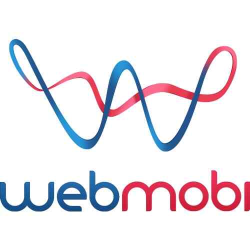 Webmobi Network Solutions Pvt Ltd in Vazhakkala,Ernakulam - Best Live ...