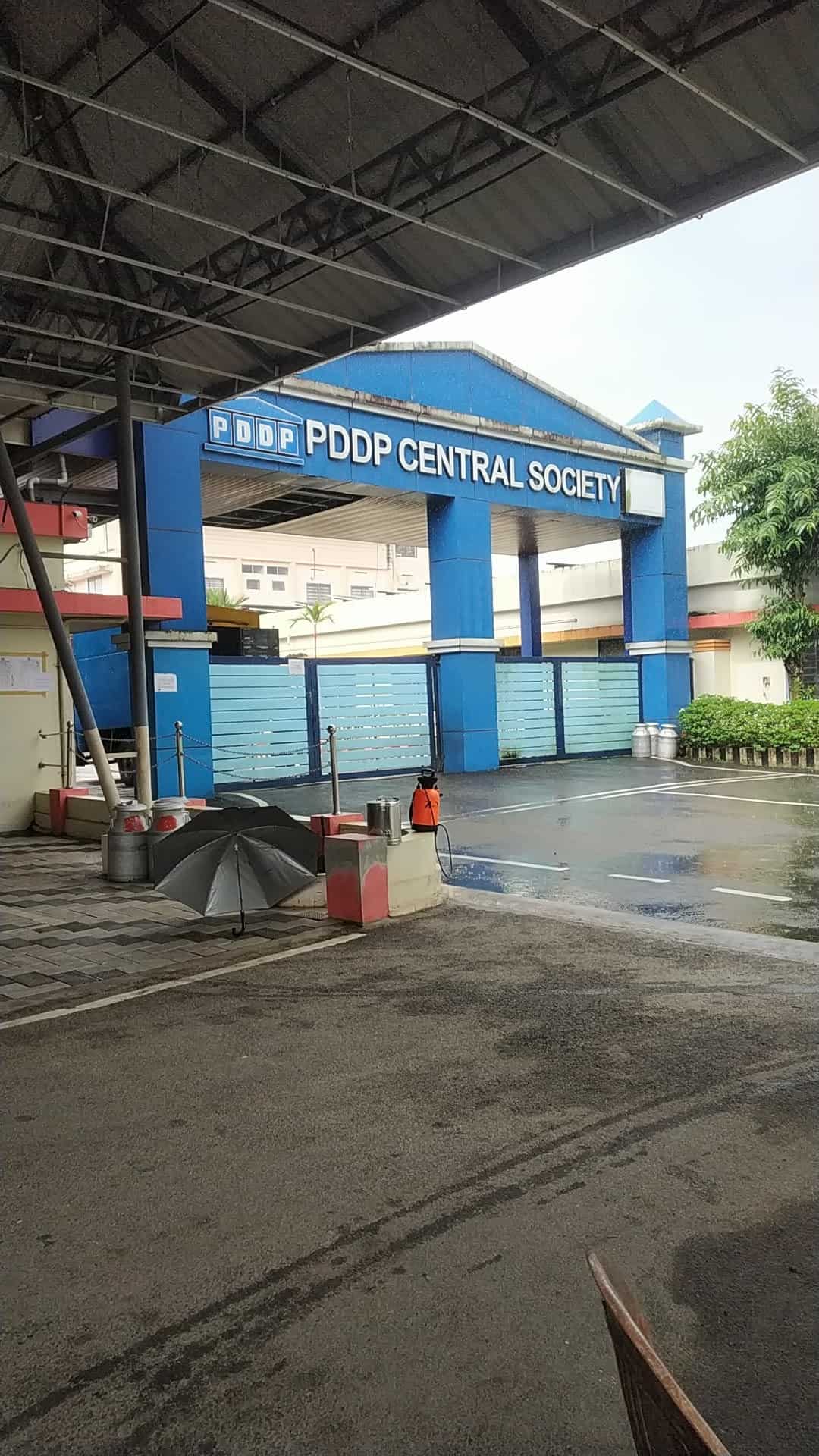 PDDP Central Society in Nedumbassery,Ernakulam - Best Dairy Product ...