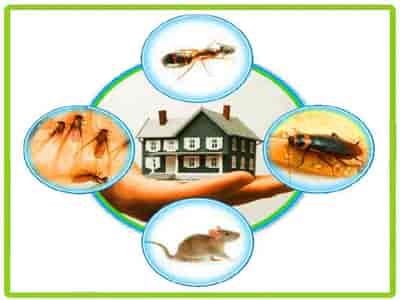 Quick Mart Grocery Store in Tilpat,Delhi - Best Grocery Stores in Delhi ...