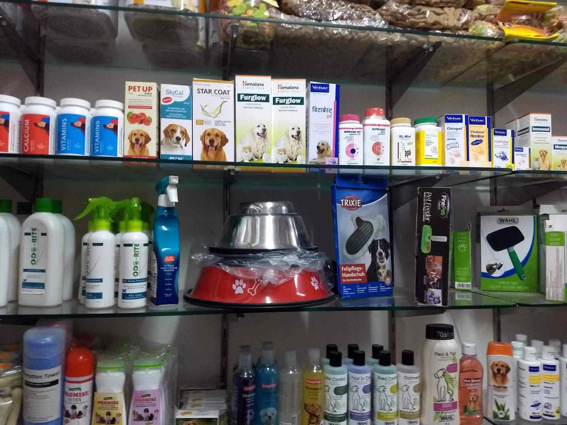 Pets Terminal in Faridabad Sector 35,Faridabad - Best Pet Shops For Dog ...