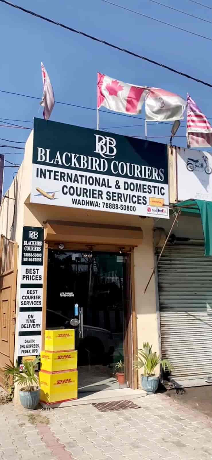 BLACKBIRD INTERNATIONAL COURIERS in Cheema Colony,Bassi Pathanan - Best Courier Services near me ...