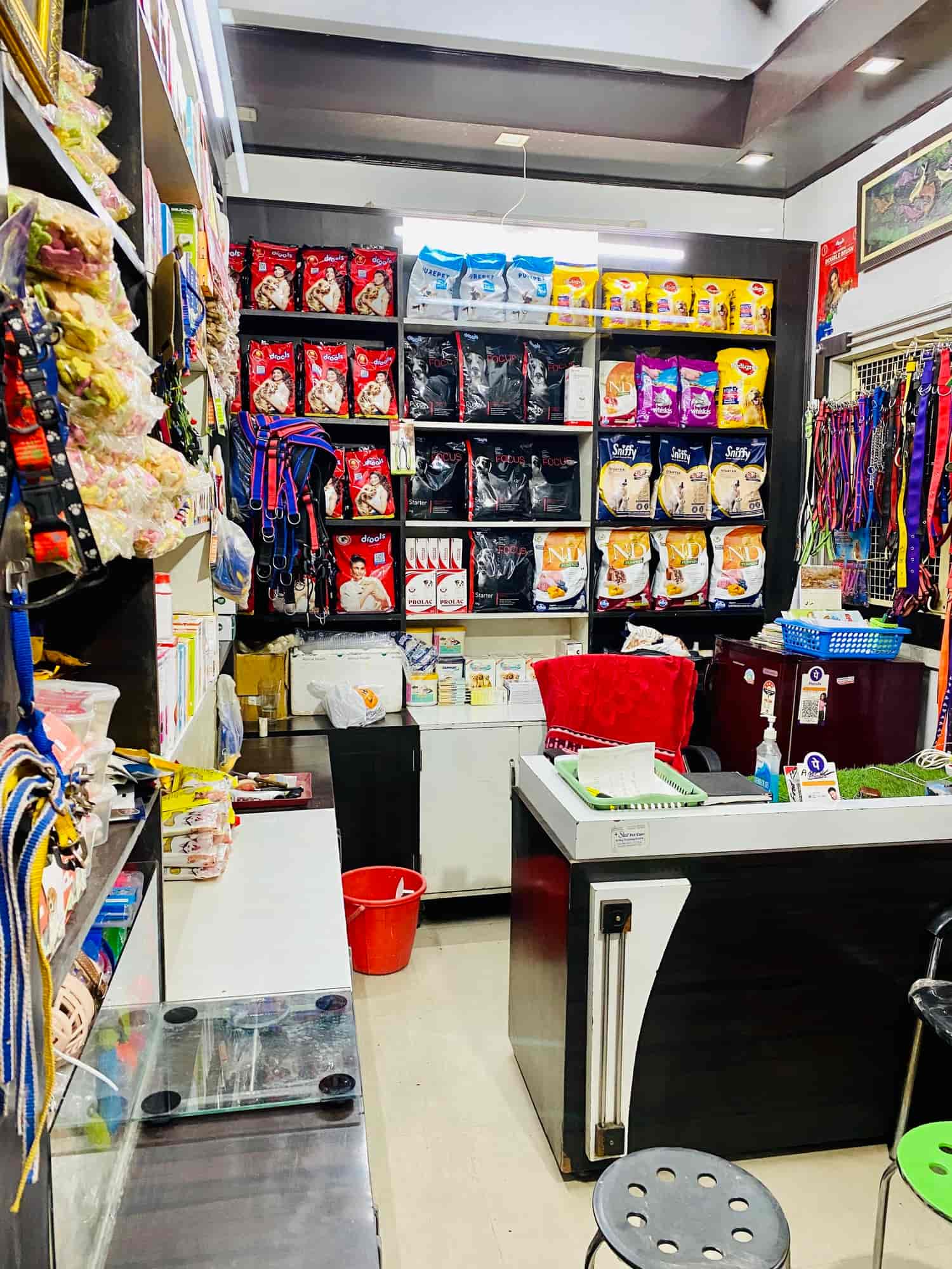 Star Pet Shop in Piareana,Ferozepur - Best Pet Care Takers near me in ...