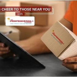The Professional Couriers near Orbit Mall Vavol, Gandhinagar Gujarat ...