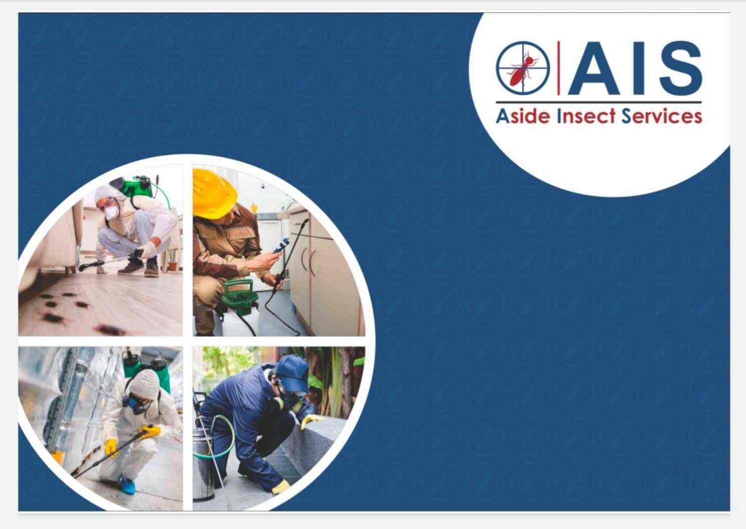 Top Pest Control Services For Spiders in Gandhinagar Sector 16 - Best ...