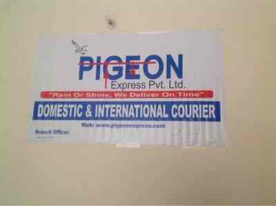 Pigeon Express Pvt Ltd in Patel Nagar Ghaziabad,Delhi - Best Domestic ...