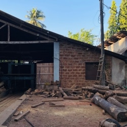 Pinewood - Pinewood Plywood Latest Price, Pine Tree Wood Dealers in Goa ...