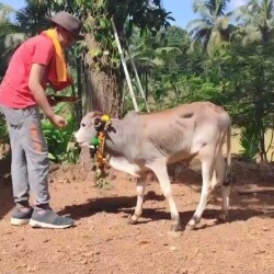 Top Organic Farms in Panjim, Goa - आर्गेनिक फार्म्स, पंजिम , गोवा ...