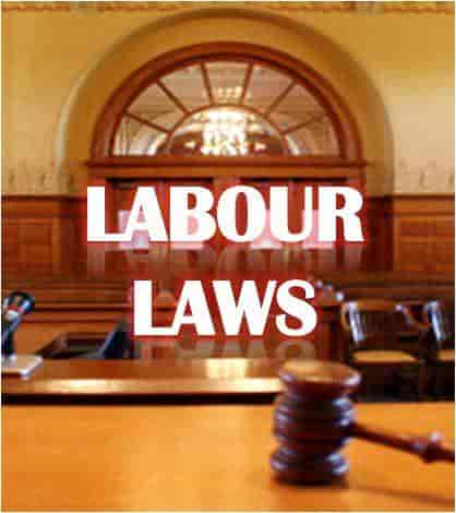 Varticles Labour Law Compliance and Management Consultancy in Old Goa ...