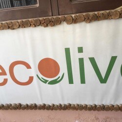 Catalogue - Ecolive in Gurgaon Sector 48 , Gurgaon - Justdial