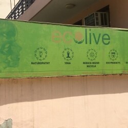 Catalogue - Ecolive in Gurgaon Sector 48 , Gurgaon - Justdial
