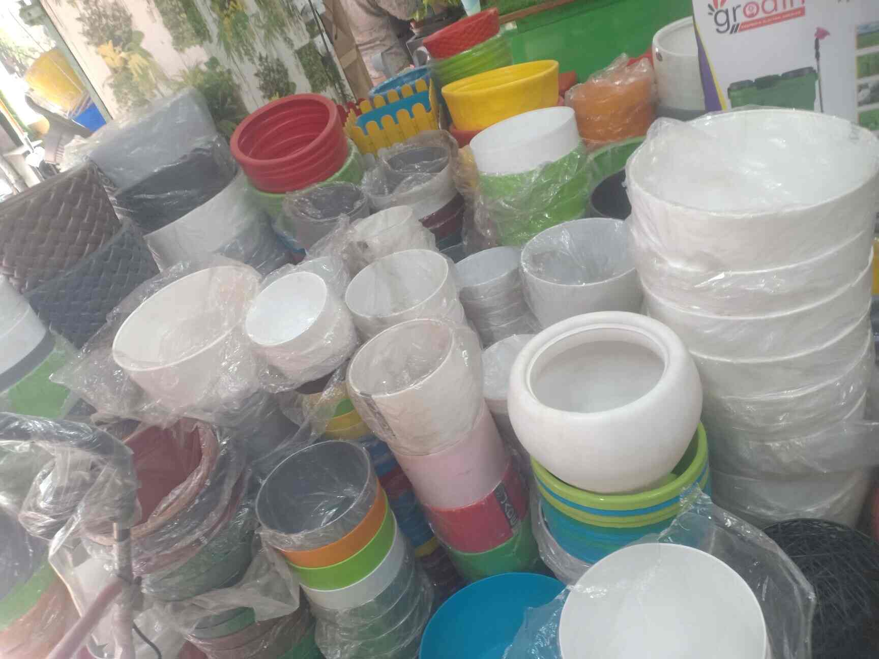 Catalogue - Green Planet in Basheer Bagh , Hyderabad - Justdial