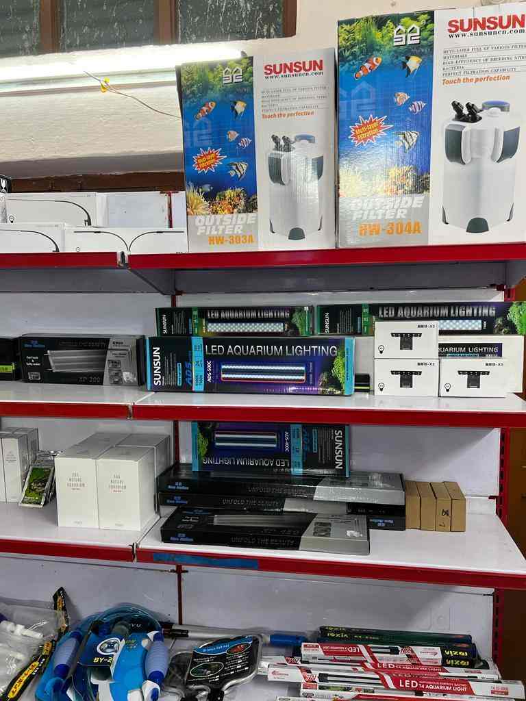 The Pet Place in Alwal,Hyderabad - Best Pet Shops For Birds in ...