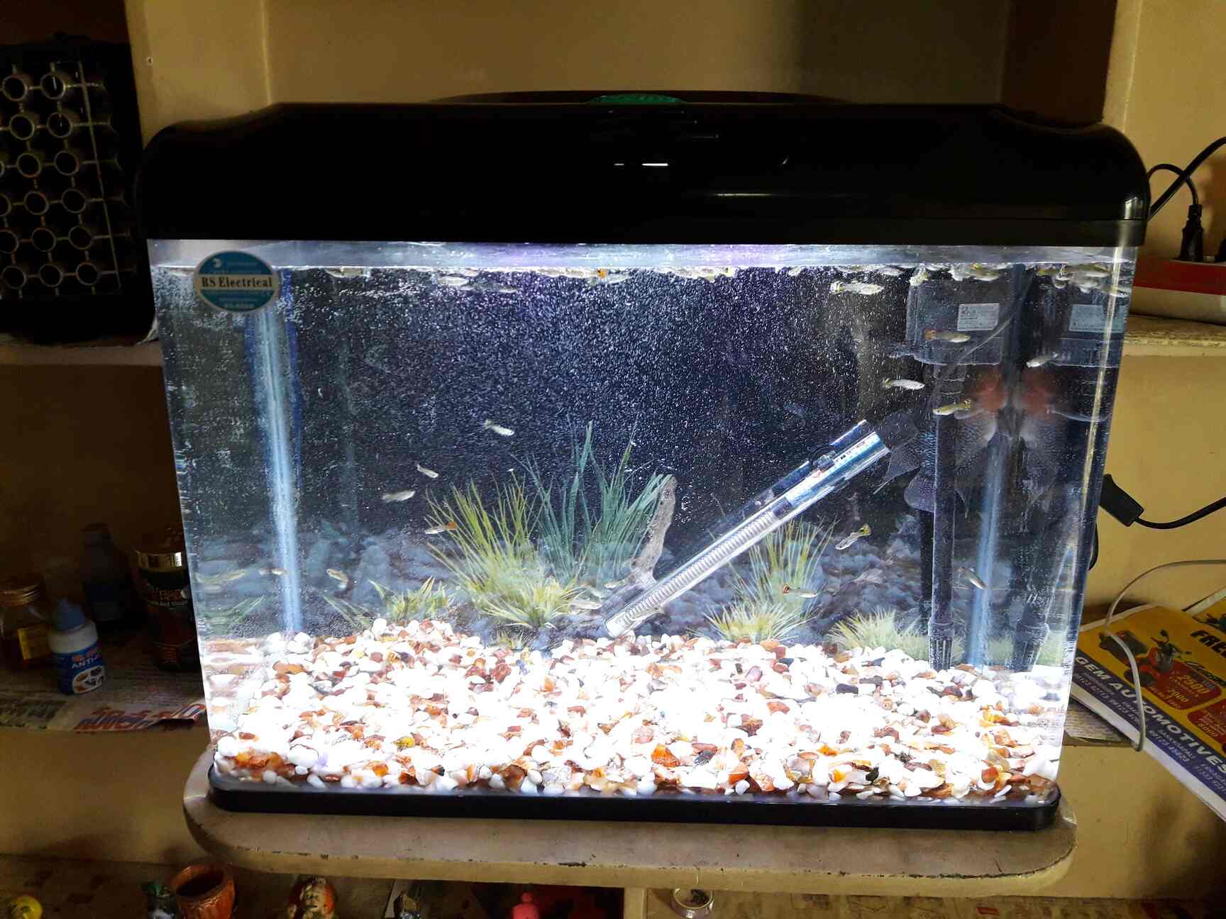 Ganga Putra Aquariums in B N Reddy Nagar,Hyderabad - Best Aquarium ...