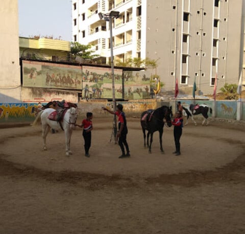 Top Horse Riding in Hyderabad - Best Horse Ride Training - Justdial