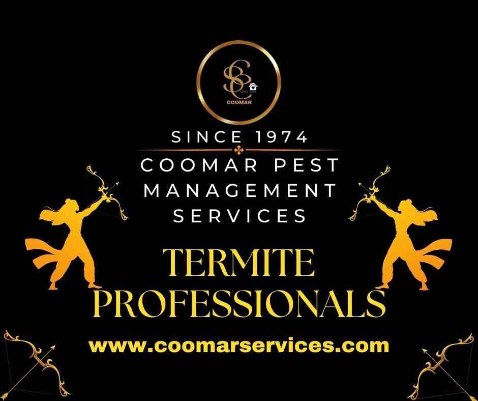 Coomar And Coomar Services in Ramanthapur,Hyderabad - Best Pest Control ...