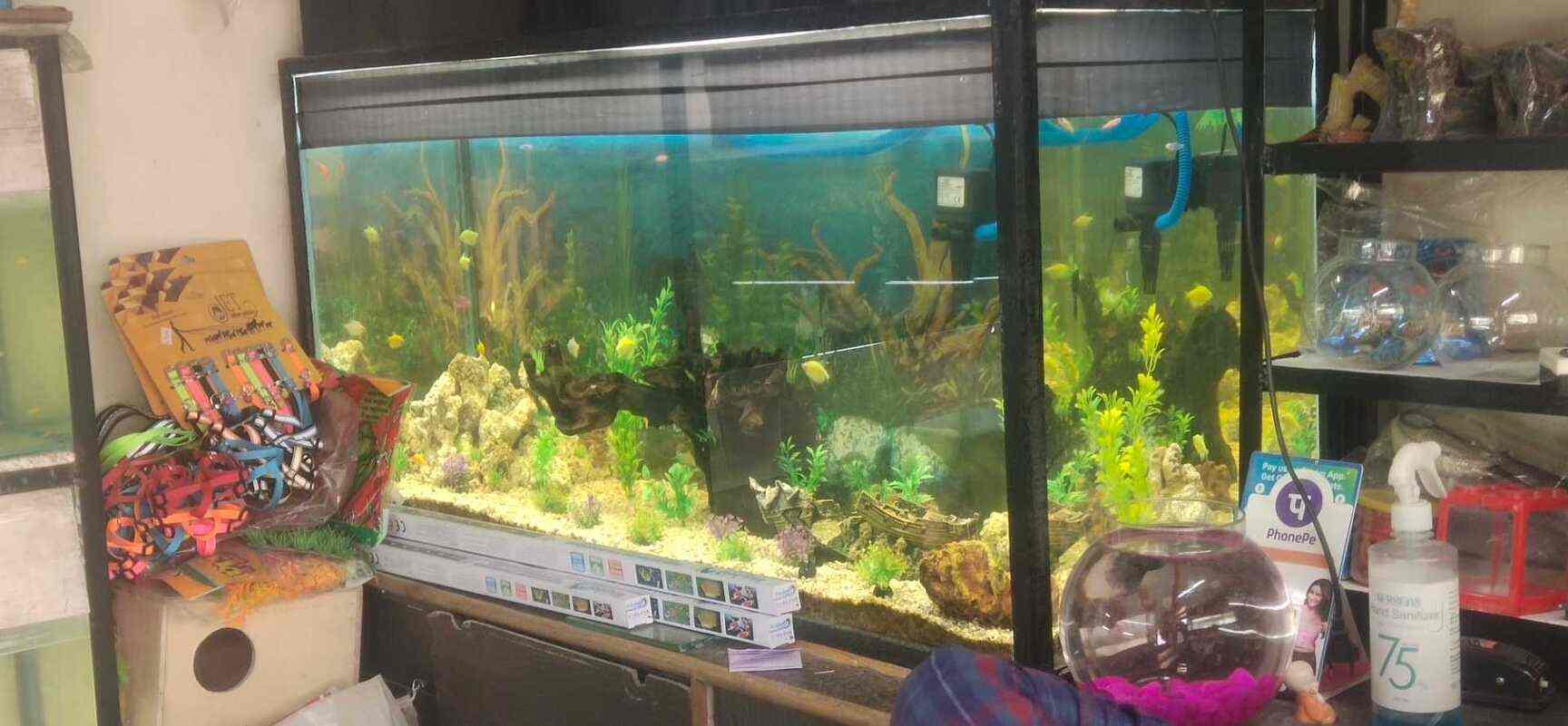Naaz Aquaworld in Pragathi Nagar-Bachupally,Hyderabad - Best Aquarium ...