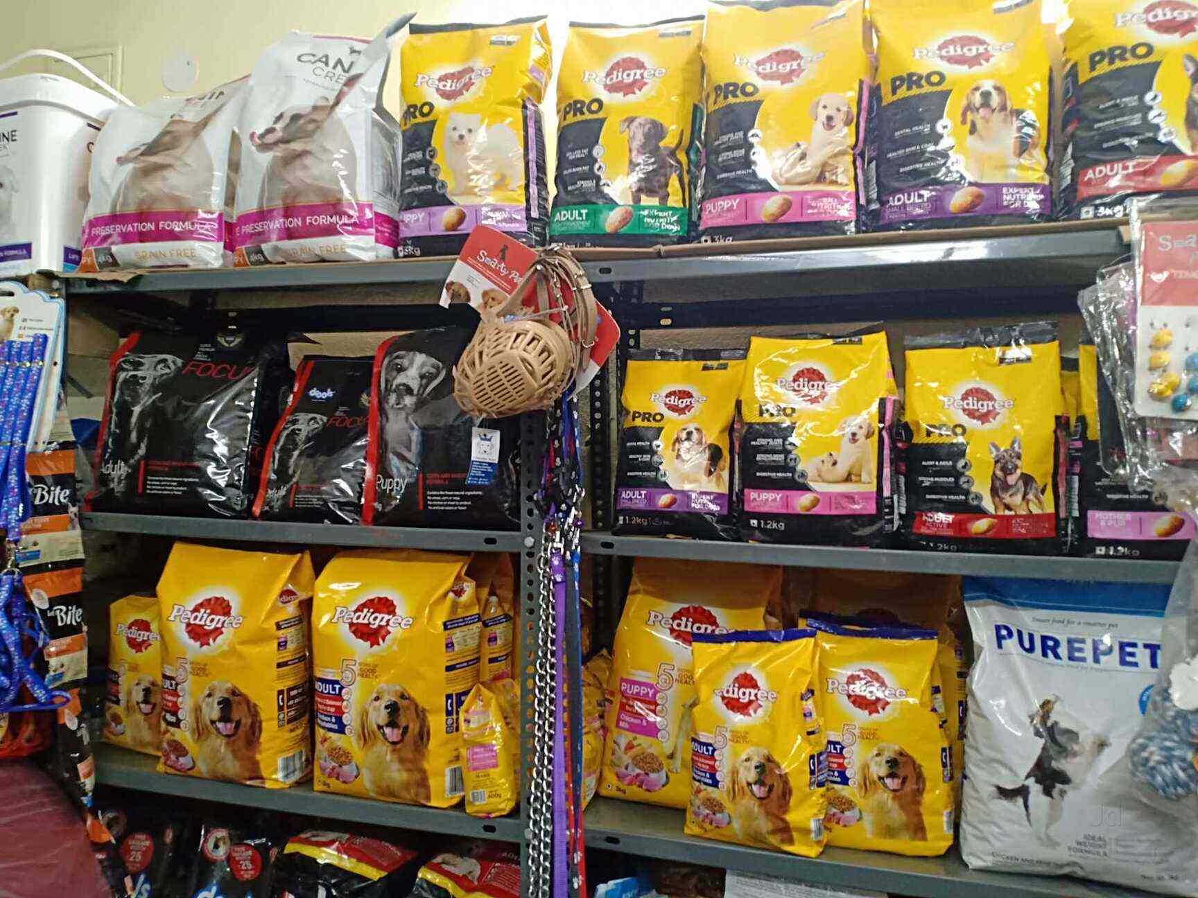 PET Luck - Pet Food & Accessories in Gajularamaram,Hyderabad - Best Pet ...
