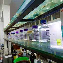 Best Nabl Laboratories Near me in Indore | Justdial