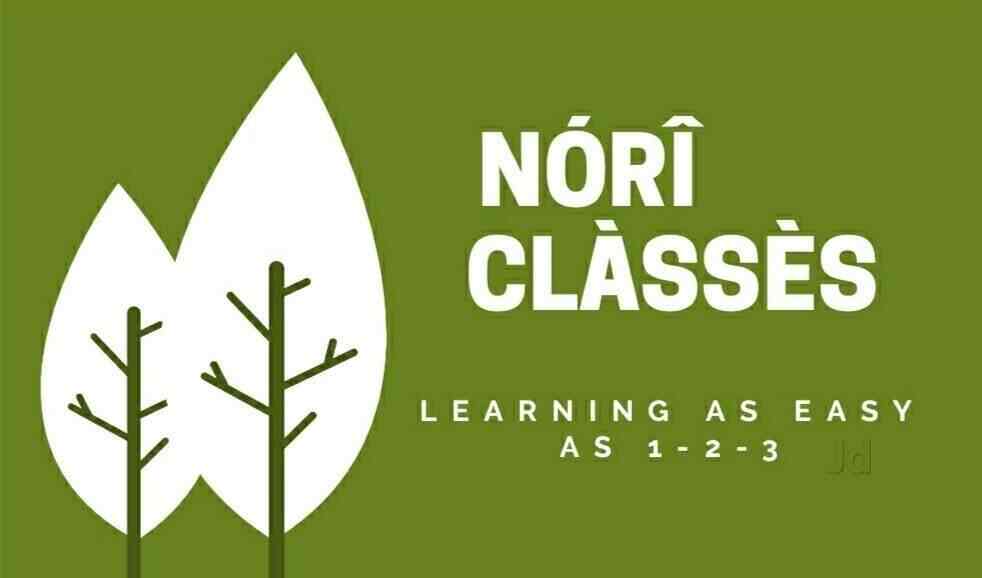 Nori Classes Kotputli in Kotputli,Jaipur - Best Home Tutors in Jaipur - Justdial
