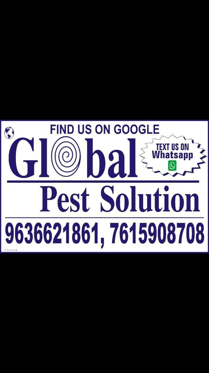 Global Pest Solution in Hasanpura,Jaipur - Best Pest Control Services ...